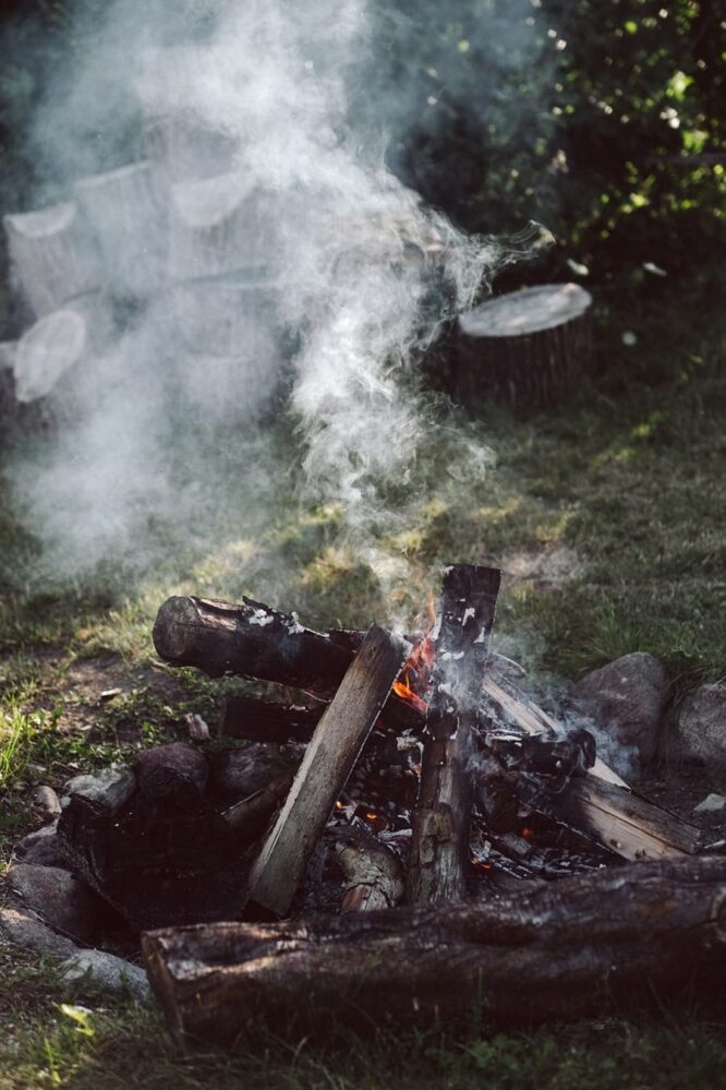 Barbecue with Fermented Greens | Krautkopf